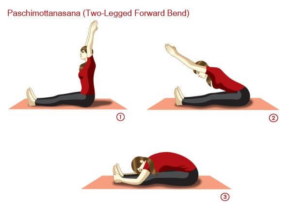 Method of Doing Paschimotan Asana - Pharma Dekho