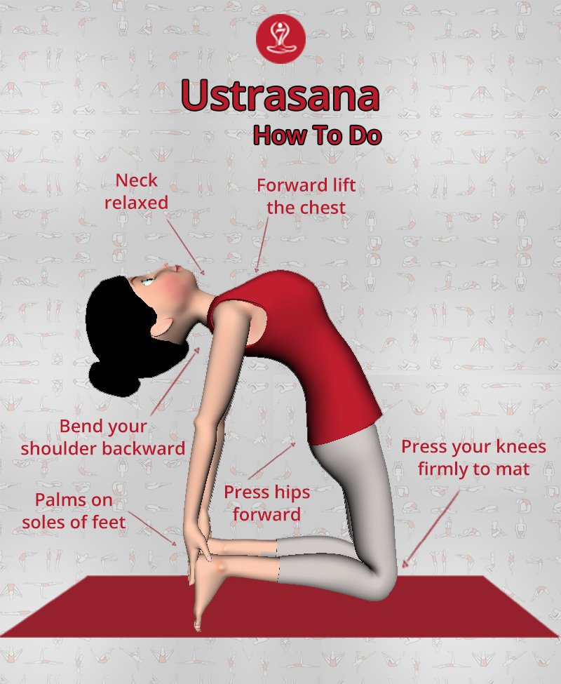 Benefits of Ustrasana - Pharma Dekho